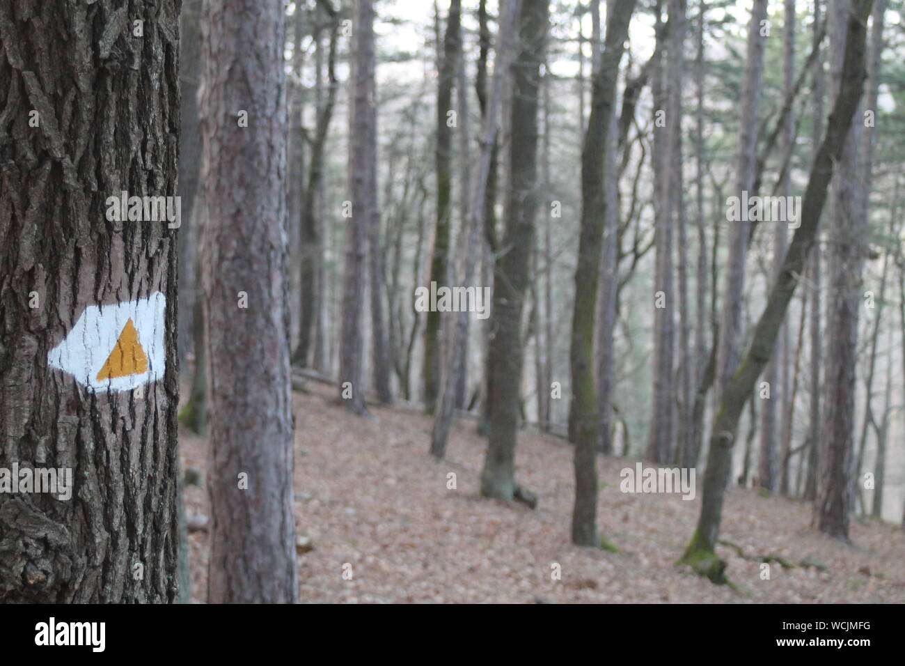 Marking in color hi-res stock photography and images - Alamy