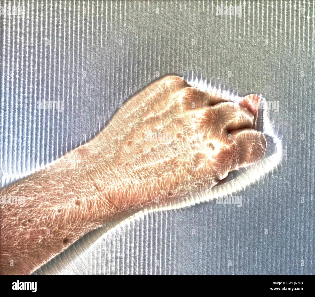 Foto of a glowing human female hand with a kirlian aura showing ...