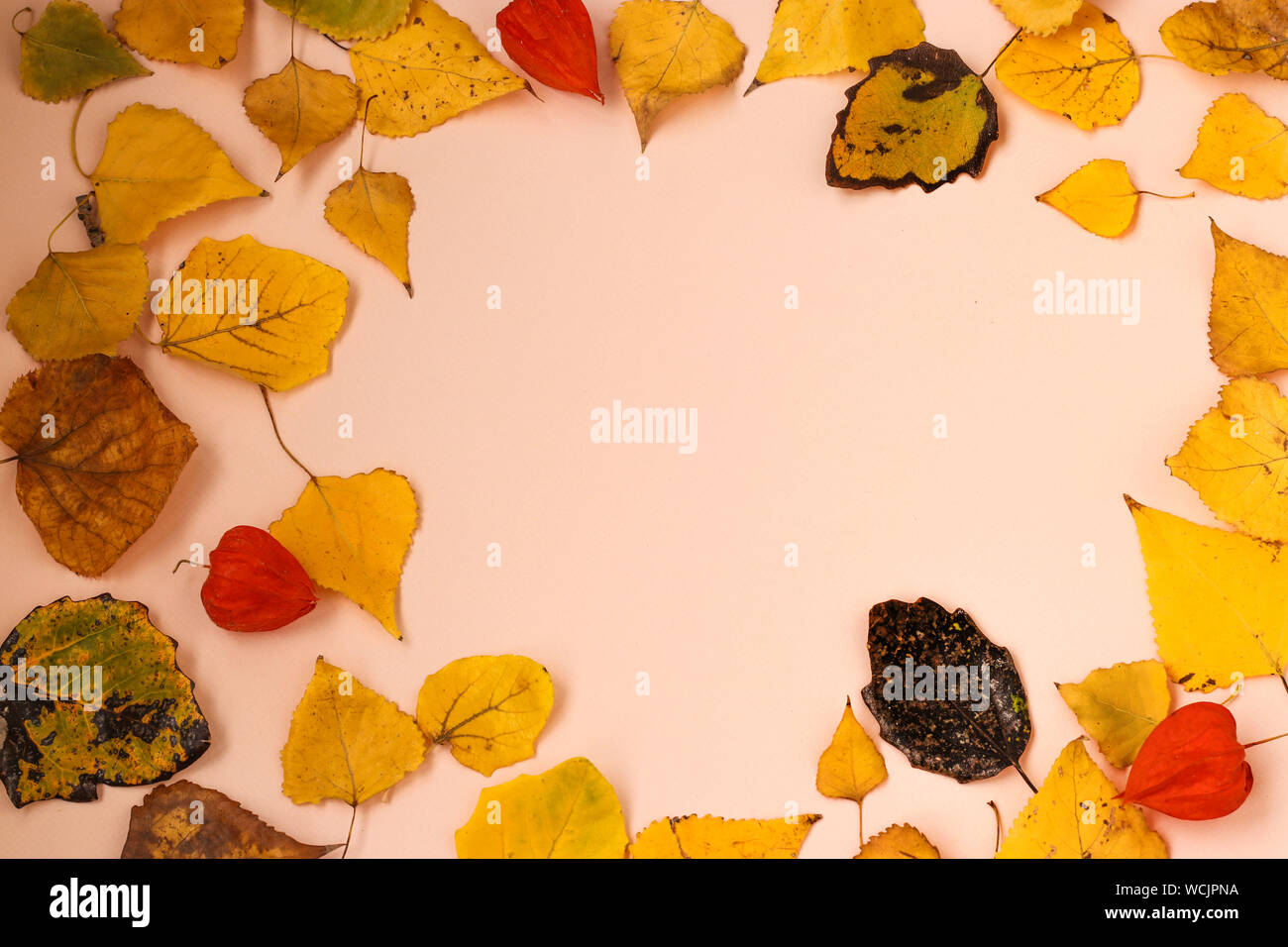 Autumn composition with frame made of autumn leaves, horizontal ...