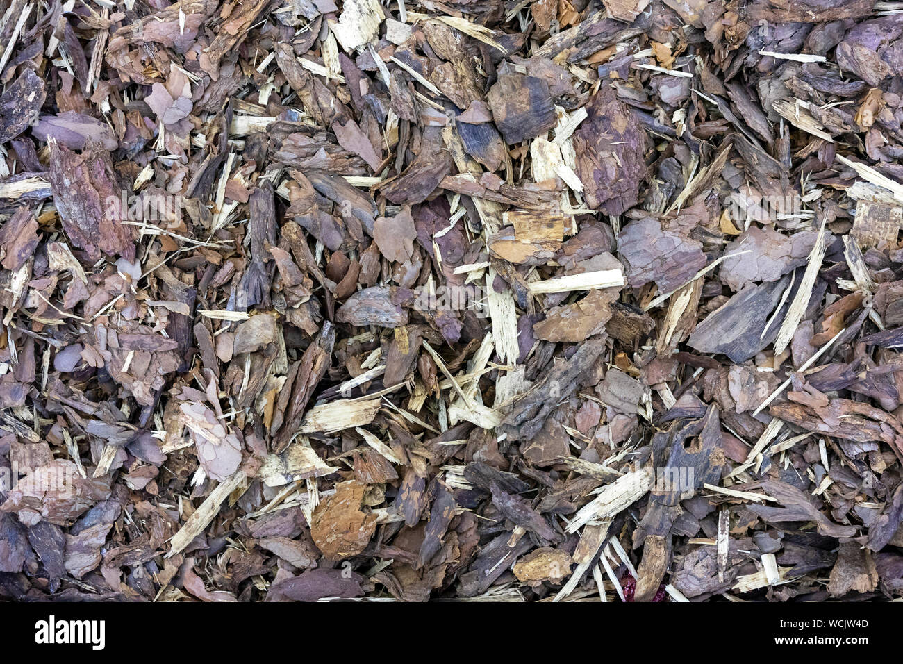 Wood chips. Waste from lumber. Wooden background Stock Photo - Alamy
