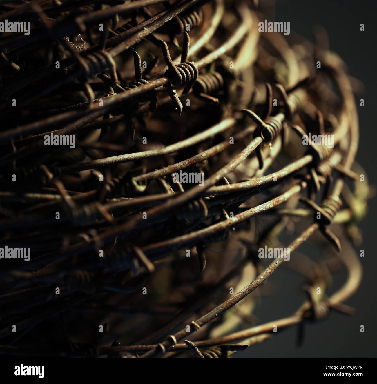 Tangled barbed wire hi-res stock photography and images - Alamy