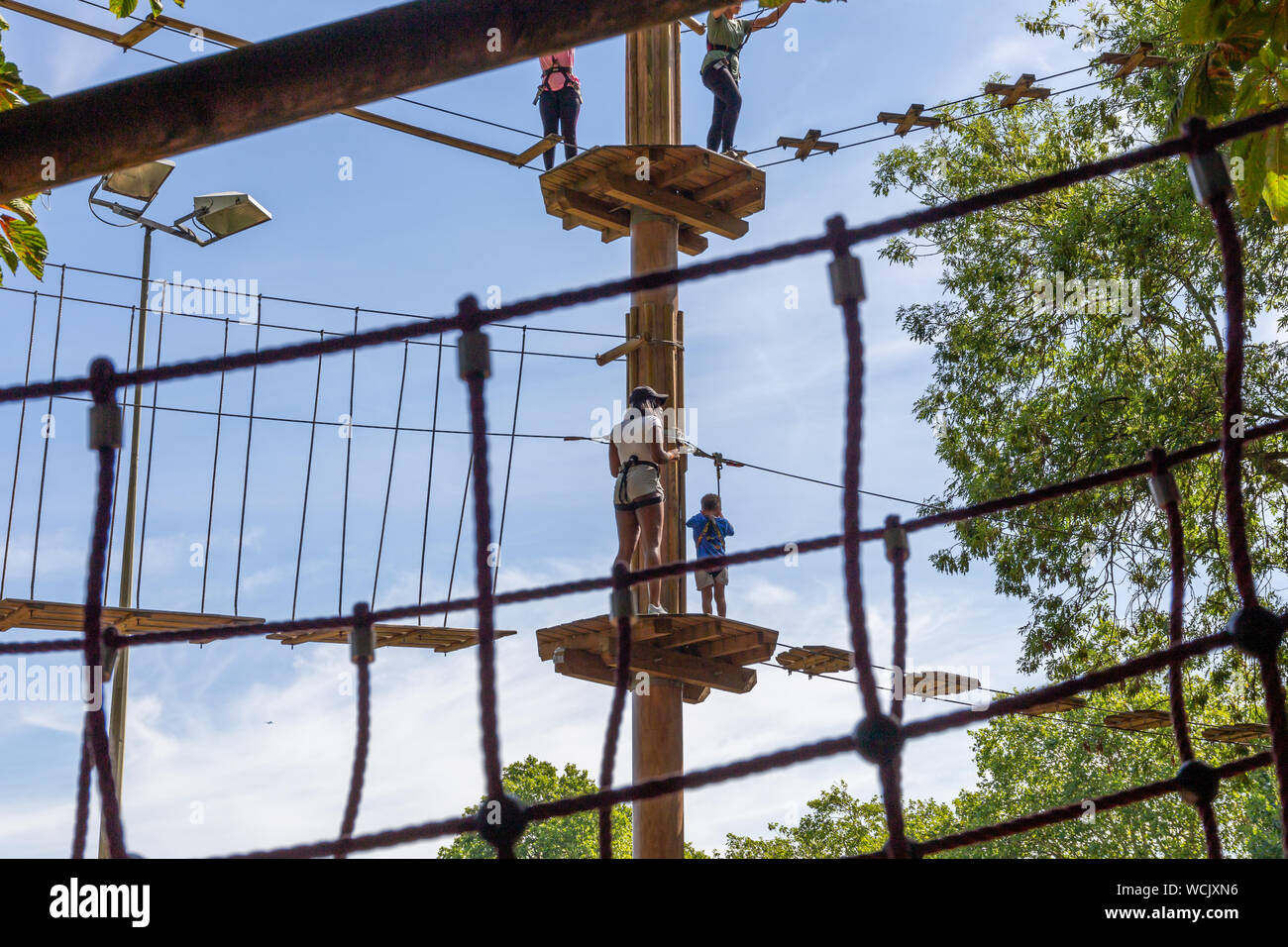 Tree top challenge hi-res stock photography and images - Alamy