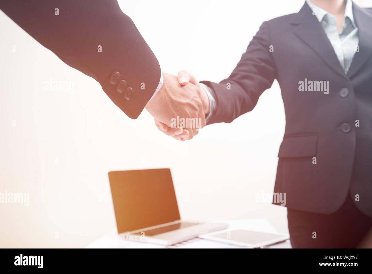 Two business people doing handshake hi-res stock photography and images ...