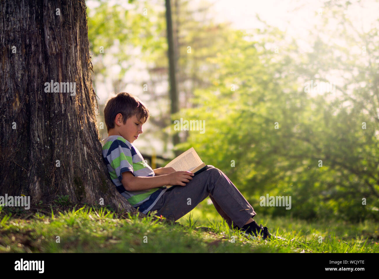 Boy sitting grass hi-res stock photography and images - Alamy