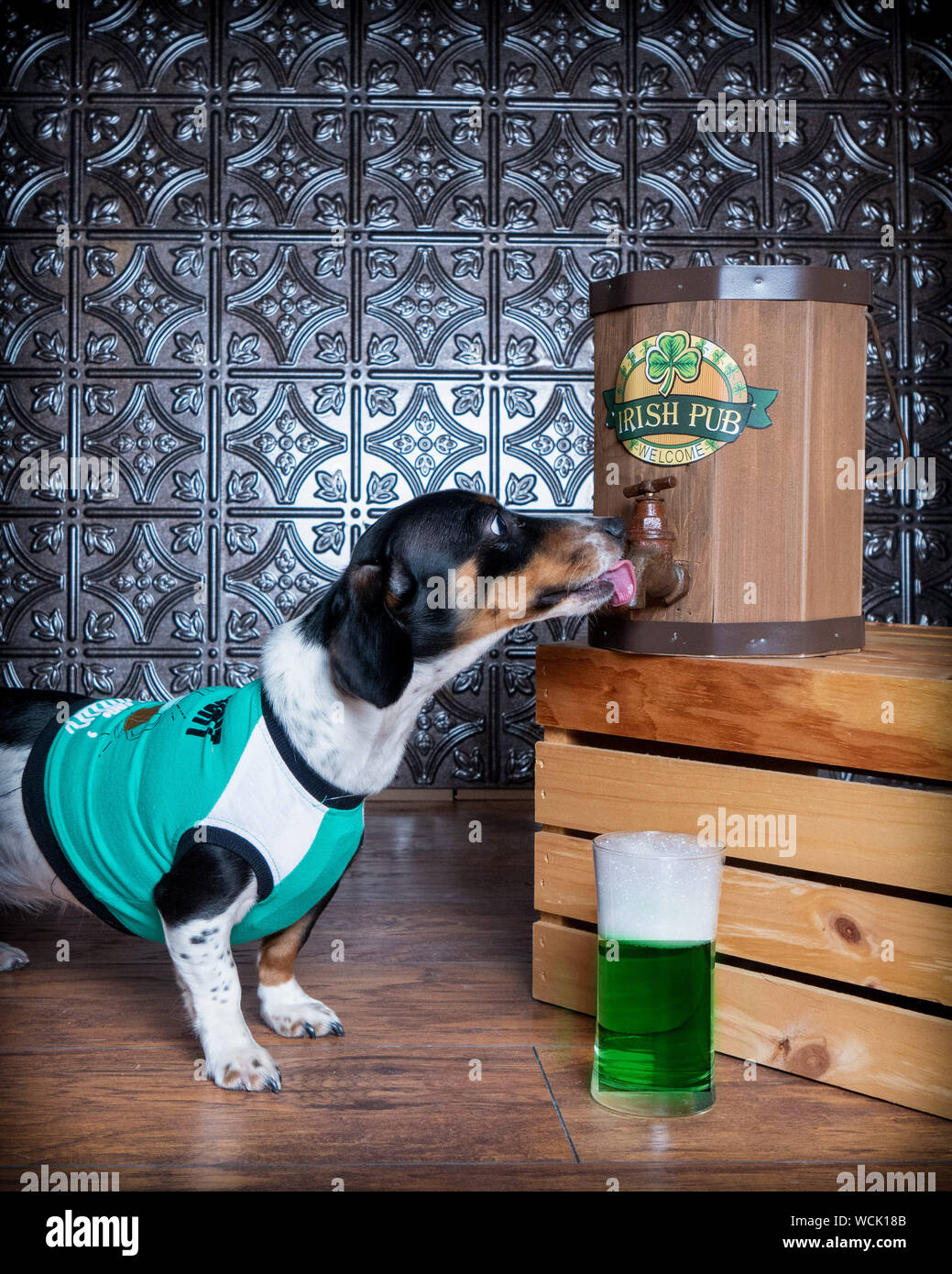 John j pacetti hi-res stock photography and images - Alamy