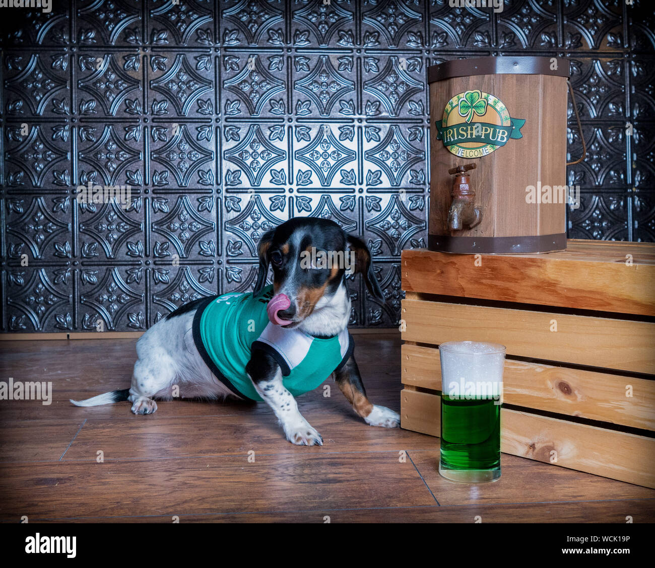 John j pacetti hi-res stock photography and images - Alamy