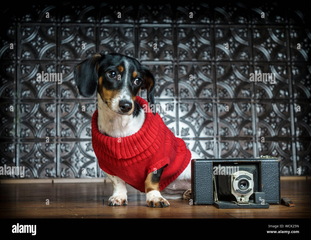 John pacetti hi-res stock photography and images - Alamy