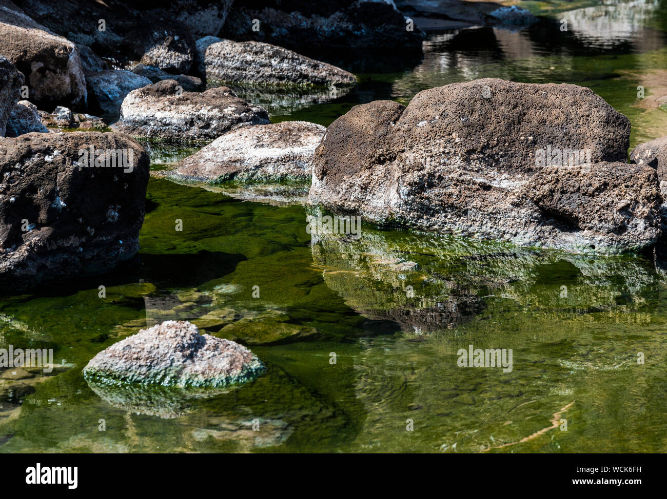 Hot spring sea water and small swamps near Lac Assal (Salt Lake) , 150m ...