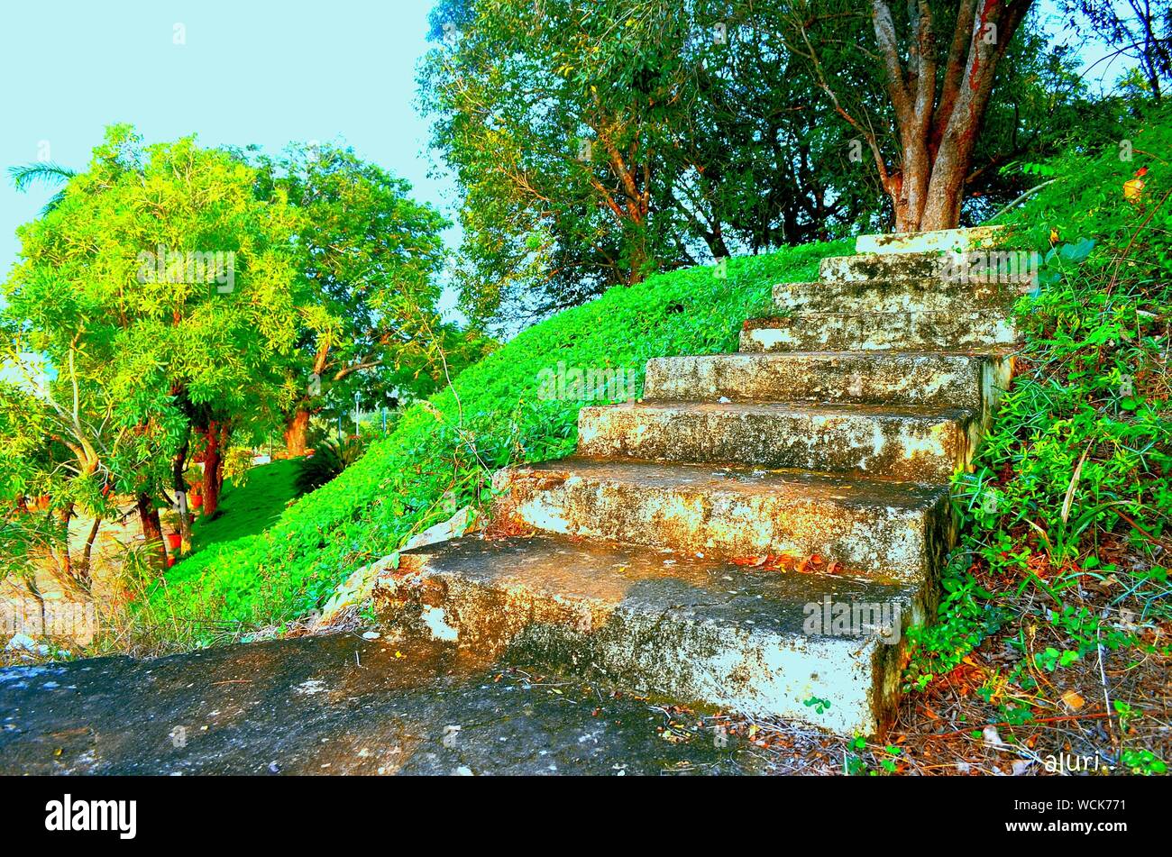 Outdoor steps hi-res stock photography and images - Alamy