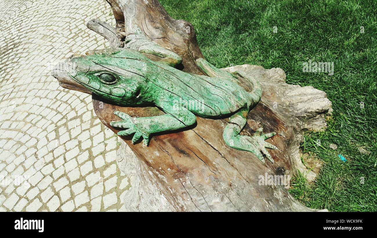 Lizard statue hi-res stock photography and images - Alamy