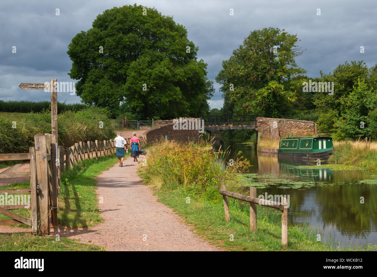 A summertime view along the Grand Western Canal (Tiverton Canal) at ...