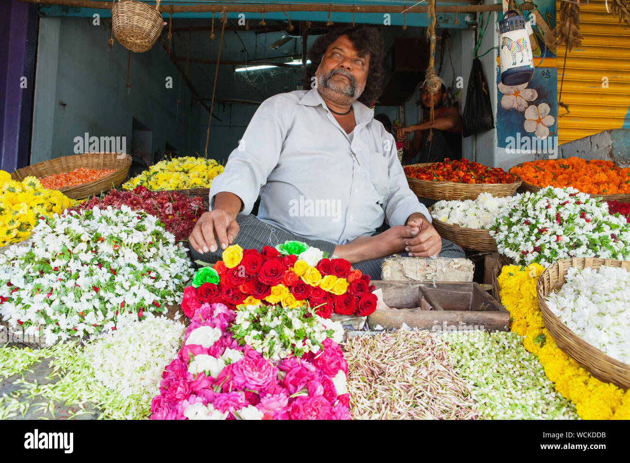 Nandyal hi-res stock photography and images - Alamy