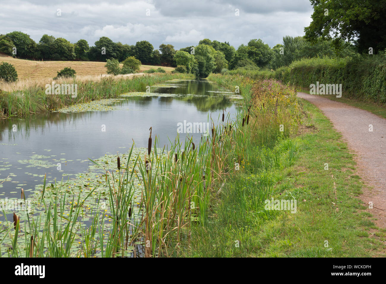 Grand western canal, tiverton hi-res stock photography and images - Alamy