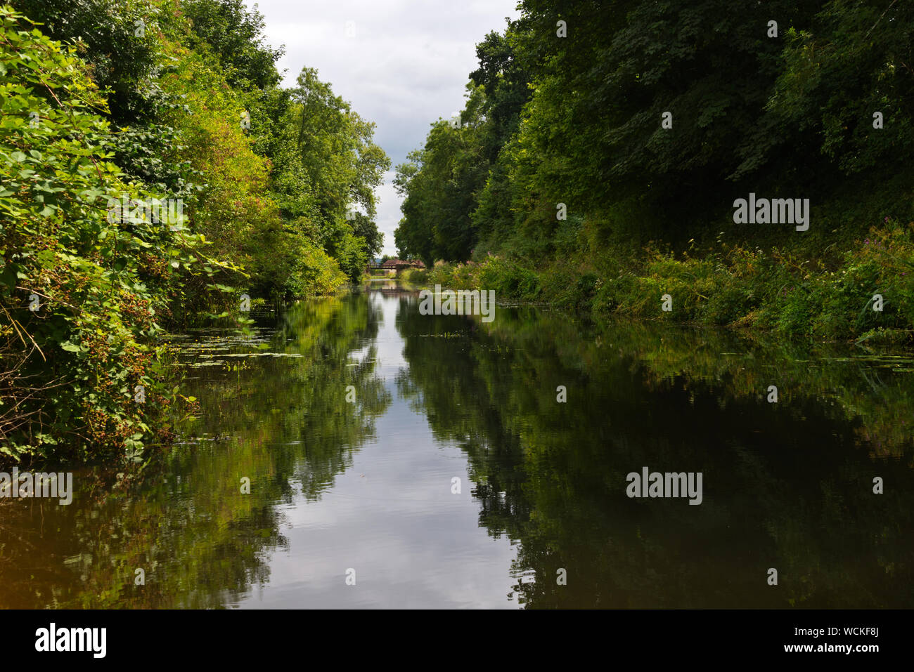 A summertime view along the Grand Western Canal (Tiverton Canal) from ...