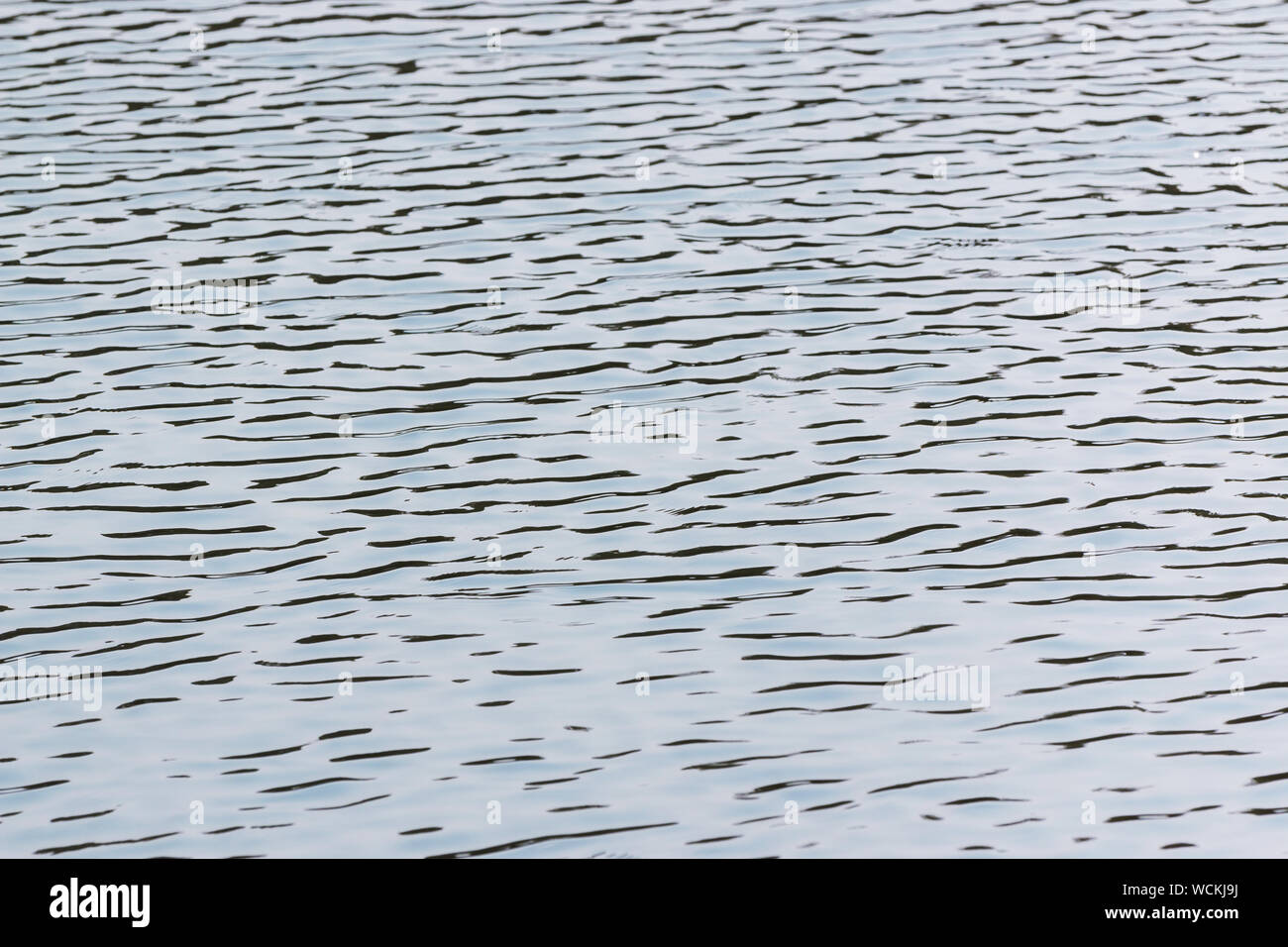 Ripple water surface in river as a background texture Stock Photo - Alamy
