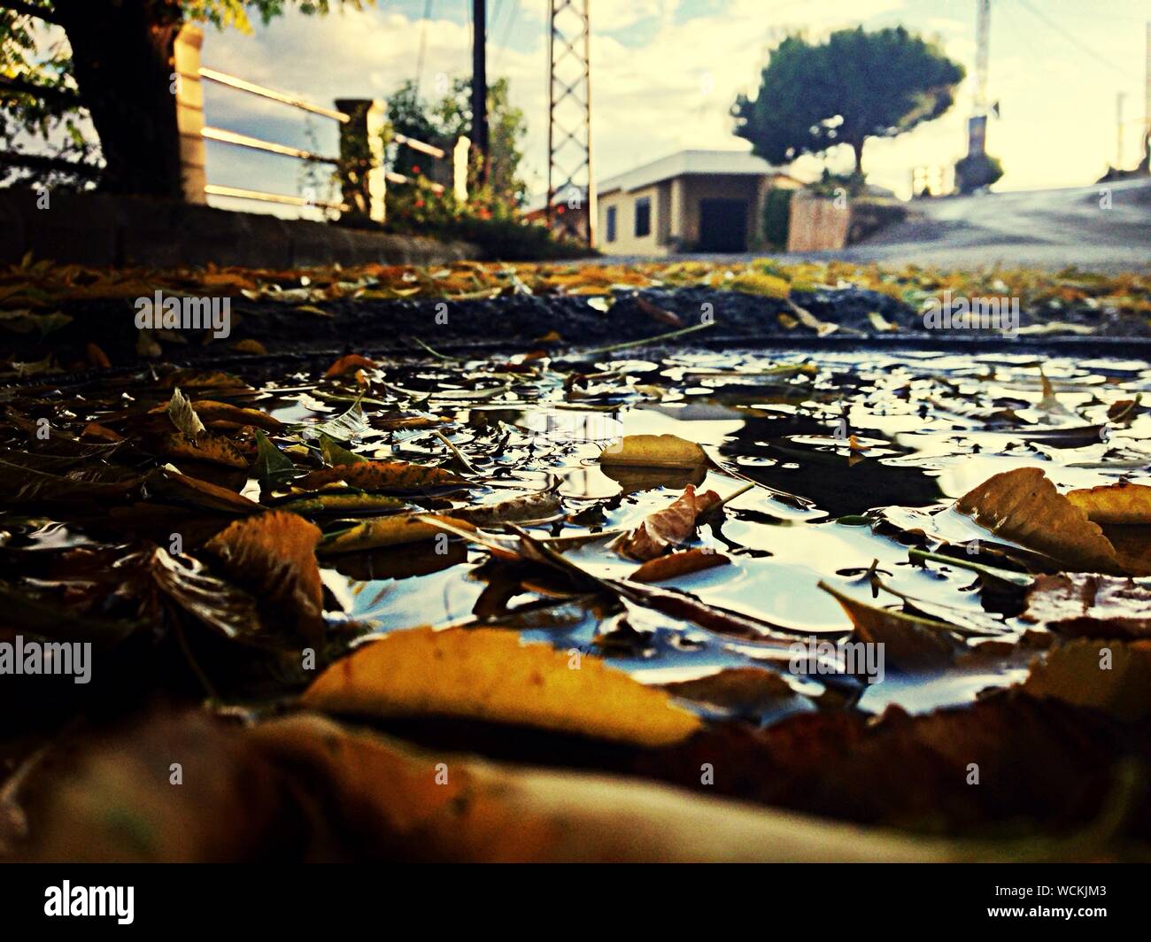 Ground is wet hi-res stock photography and images - Alamy