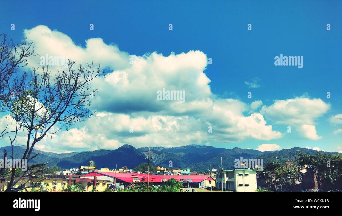 Tree range hi-res stock photography and images - Alamy