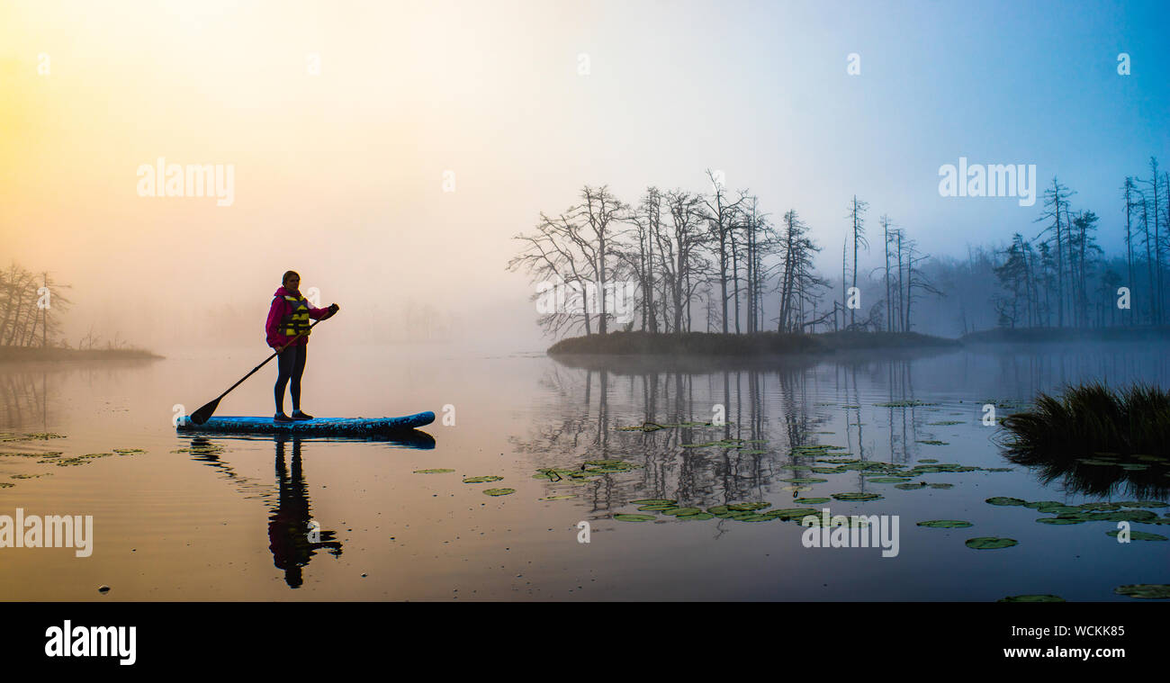 Atmospheric landscape. Fog over swamp. Sup-boarding Stock Photo - Alamy