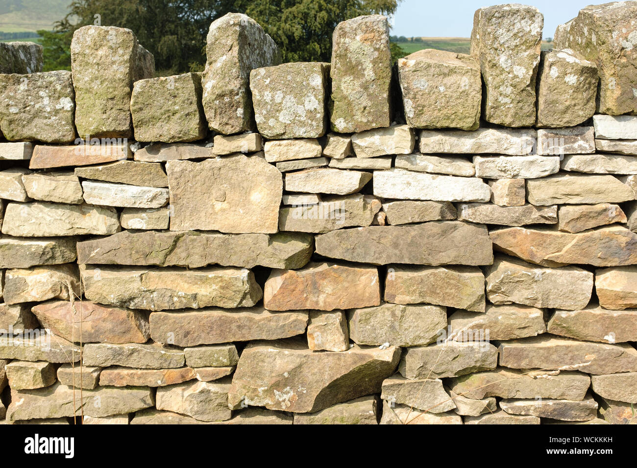 New dry stone wall in Lancashire, UK Stock Photo - Alamy