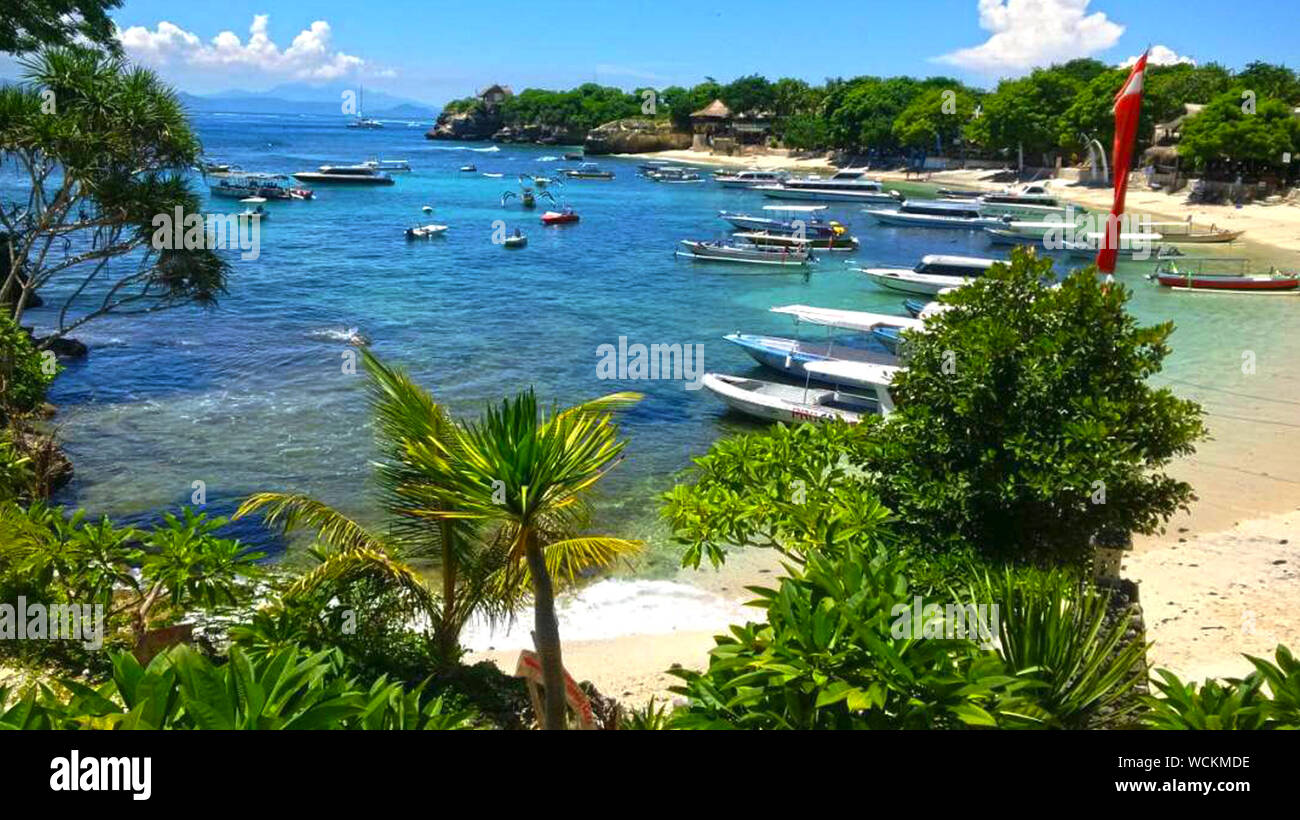 beach in Sulawesi Indonesia Stock Photo - Alamy