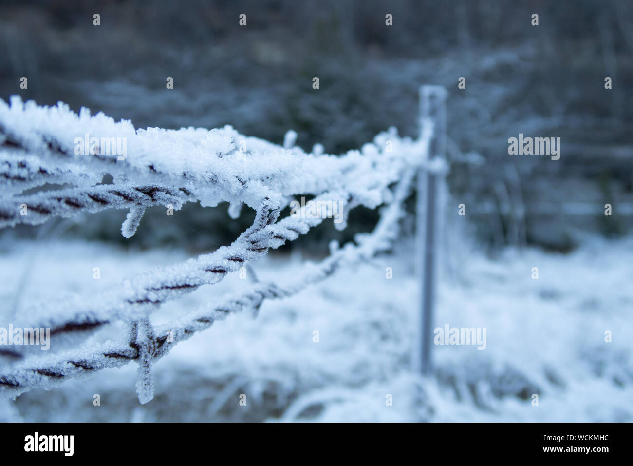 Close up of frozen rope hi-res stock photography and images - Alamy