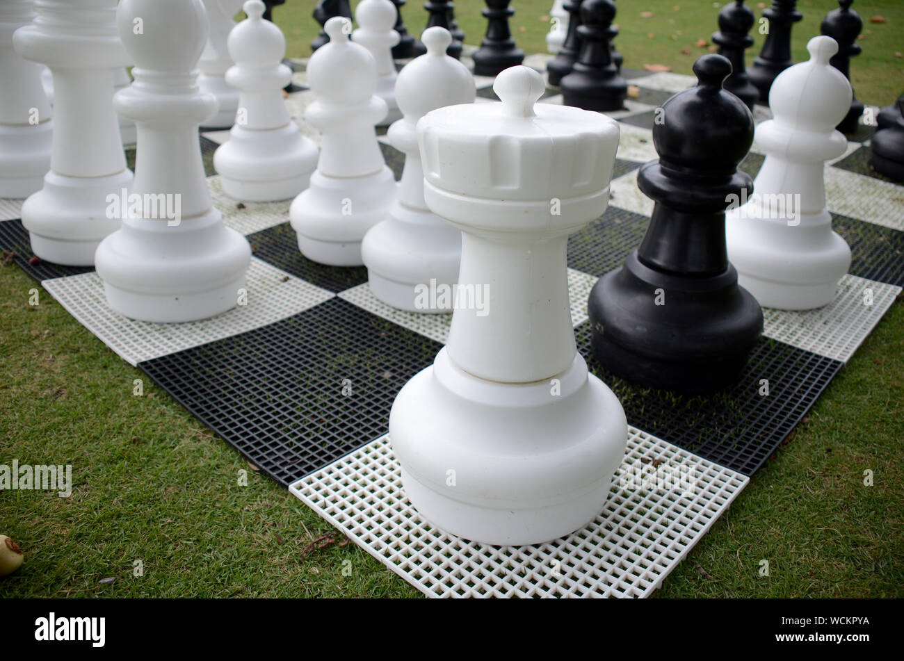 Chess grass hi-res stock photography and images - Alamy