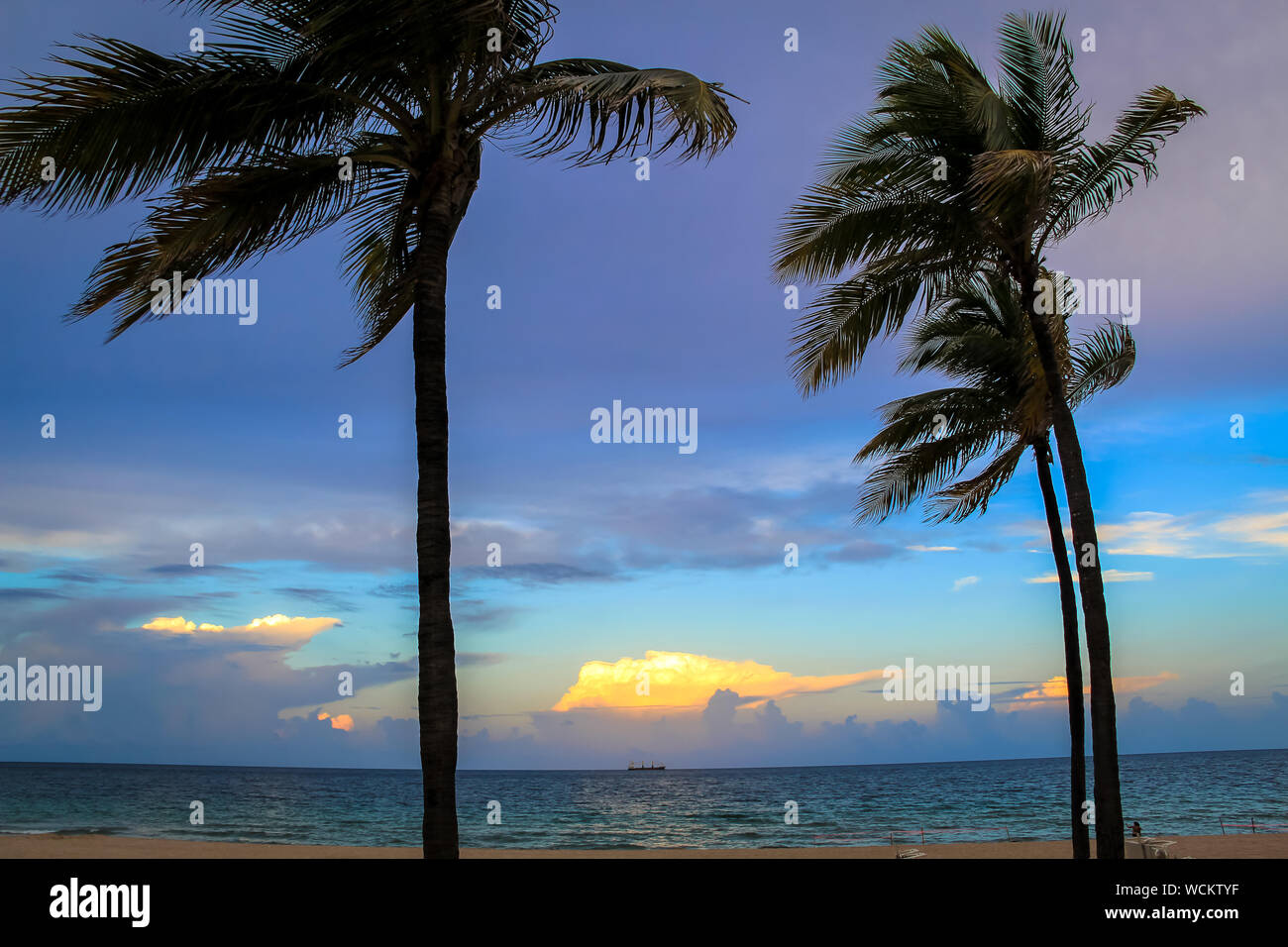 Windswept view hi-res stock photography and images - Alamy