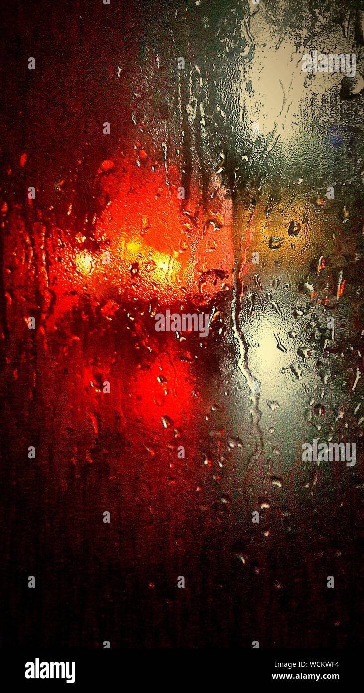 Wet tail hi-res stock photography and images - Alamy