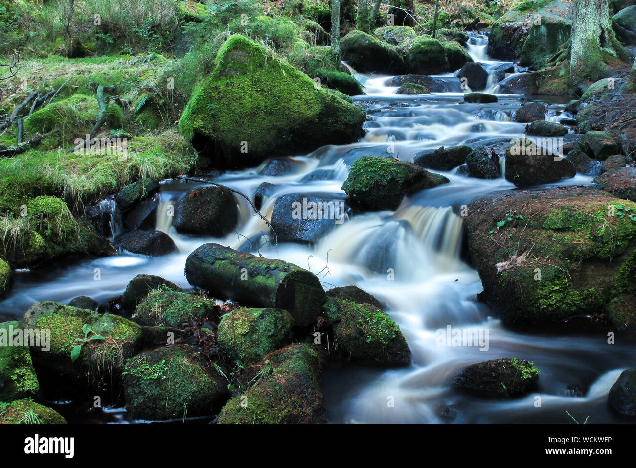 Sheffield forest hi-res stock photography and images - Alamy