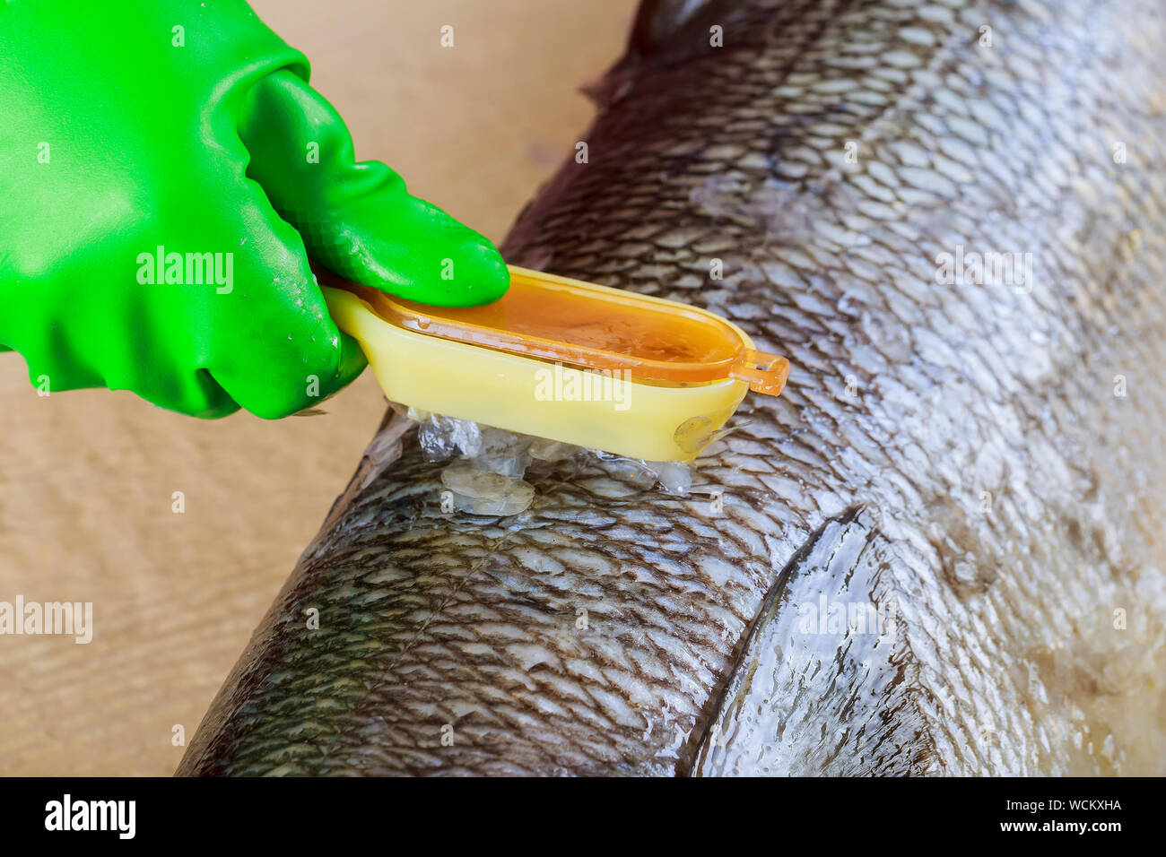 Scale scales finger hi-res stock photography and images - Alamy
