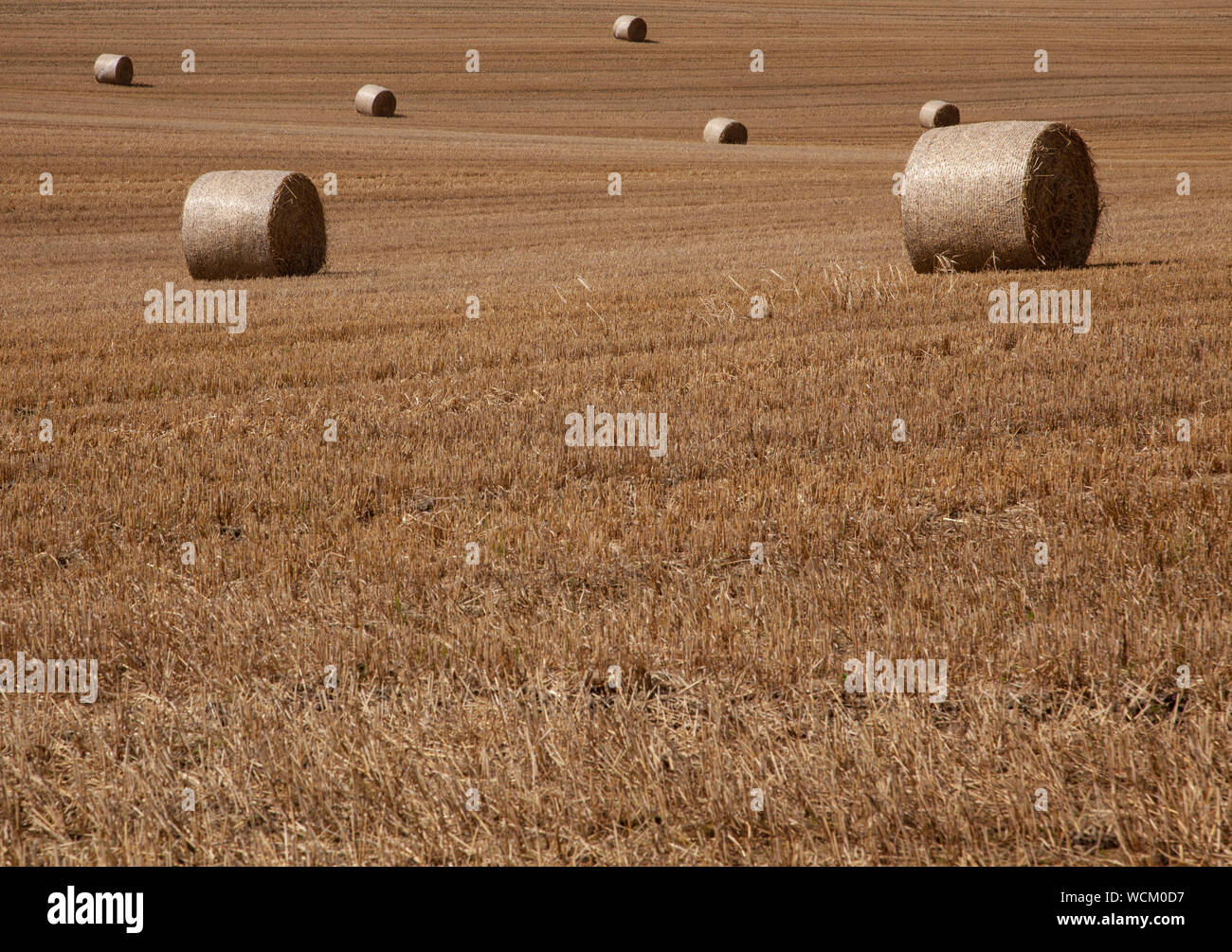 Harvest time round hay hi-res stock photography and images - Alamy