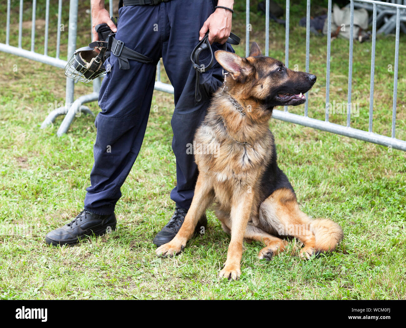 German field police hi-res stock photography and images - Alamy