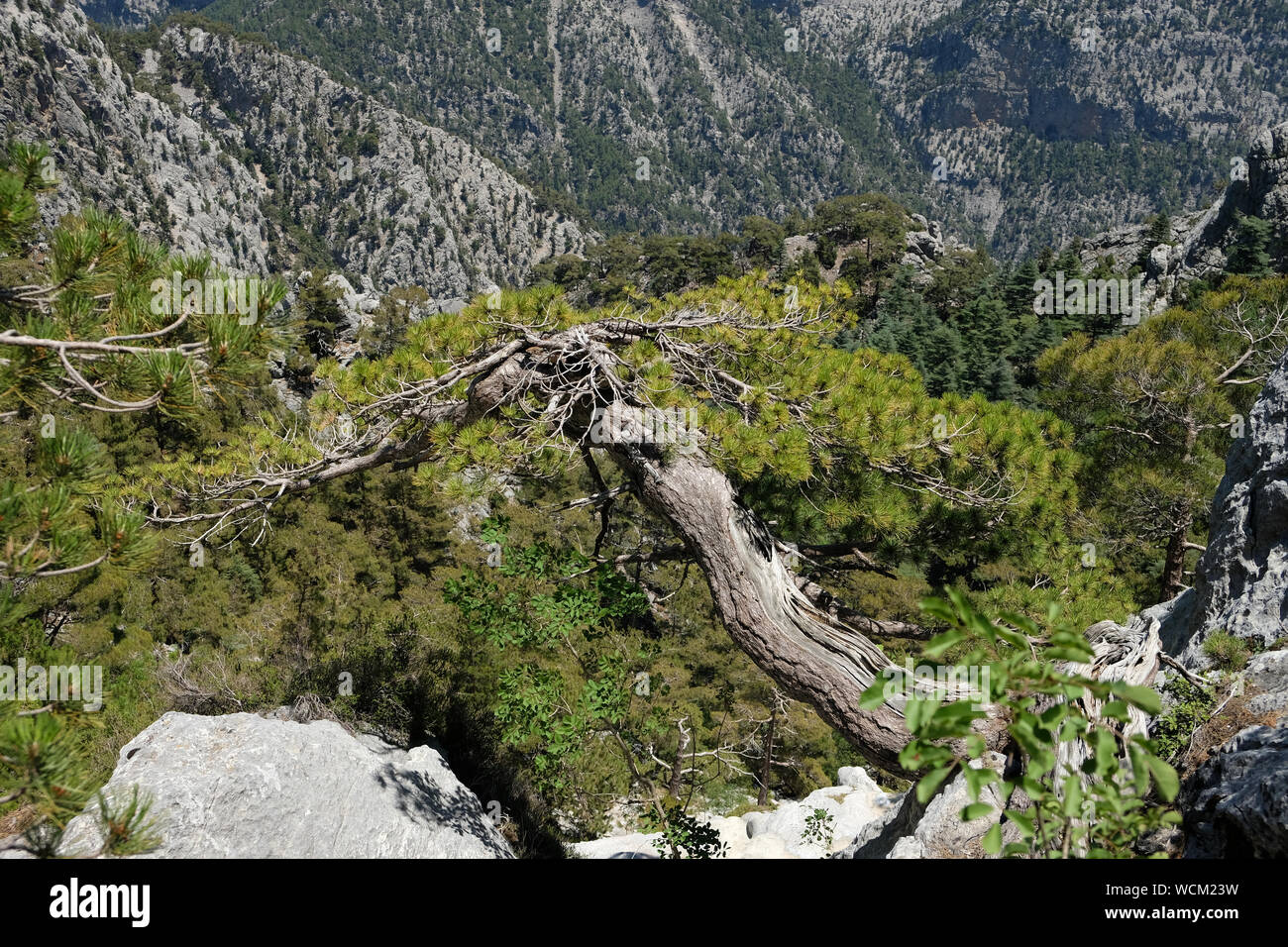 Hard to survive hi-res stock photography and images - Alamy