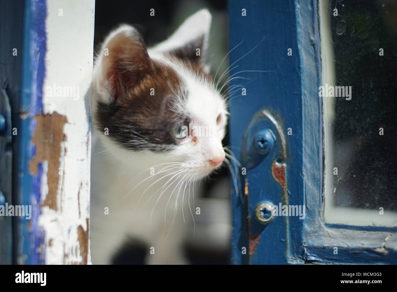 Peeping Window High Resolution Stock Photography and Images - Alamy