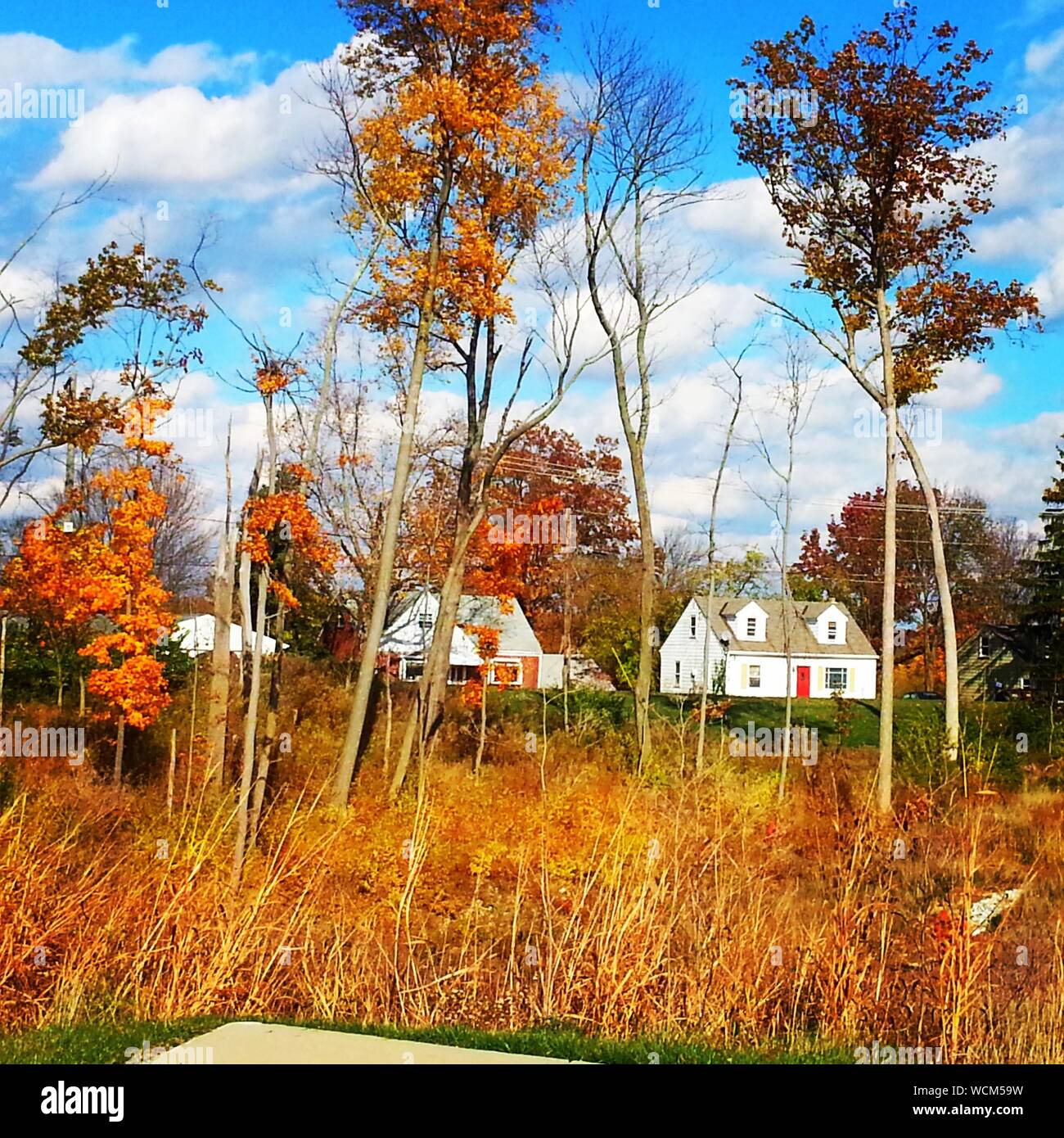 An autumn scene hi-res stock photography and images - Alamy