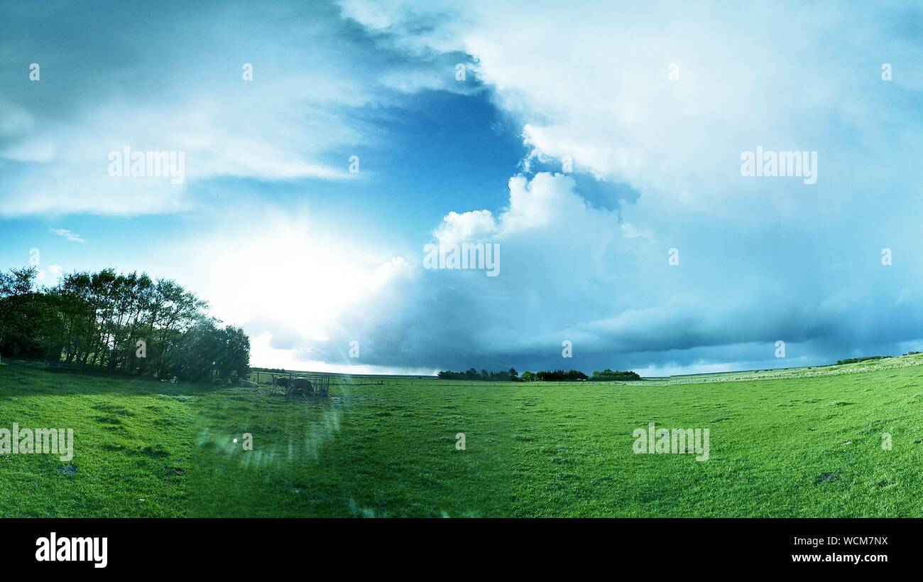 Green landscape trees hi-res stock photography and images - Alamy