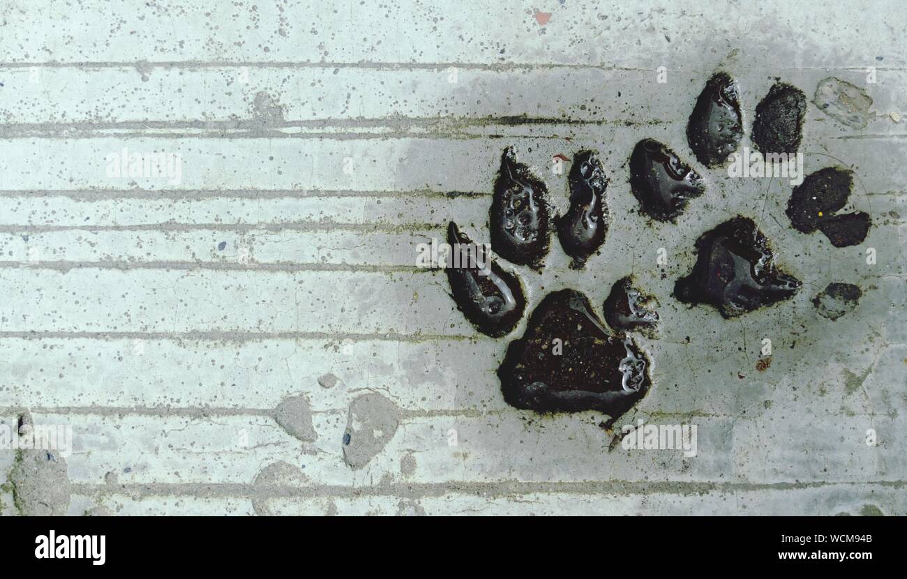 Shot marks hi-res stock photography and images - Alamy