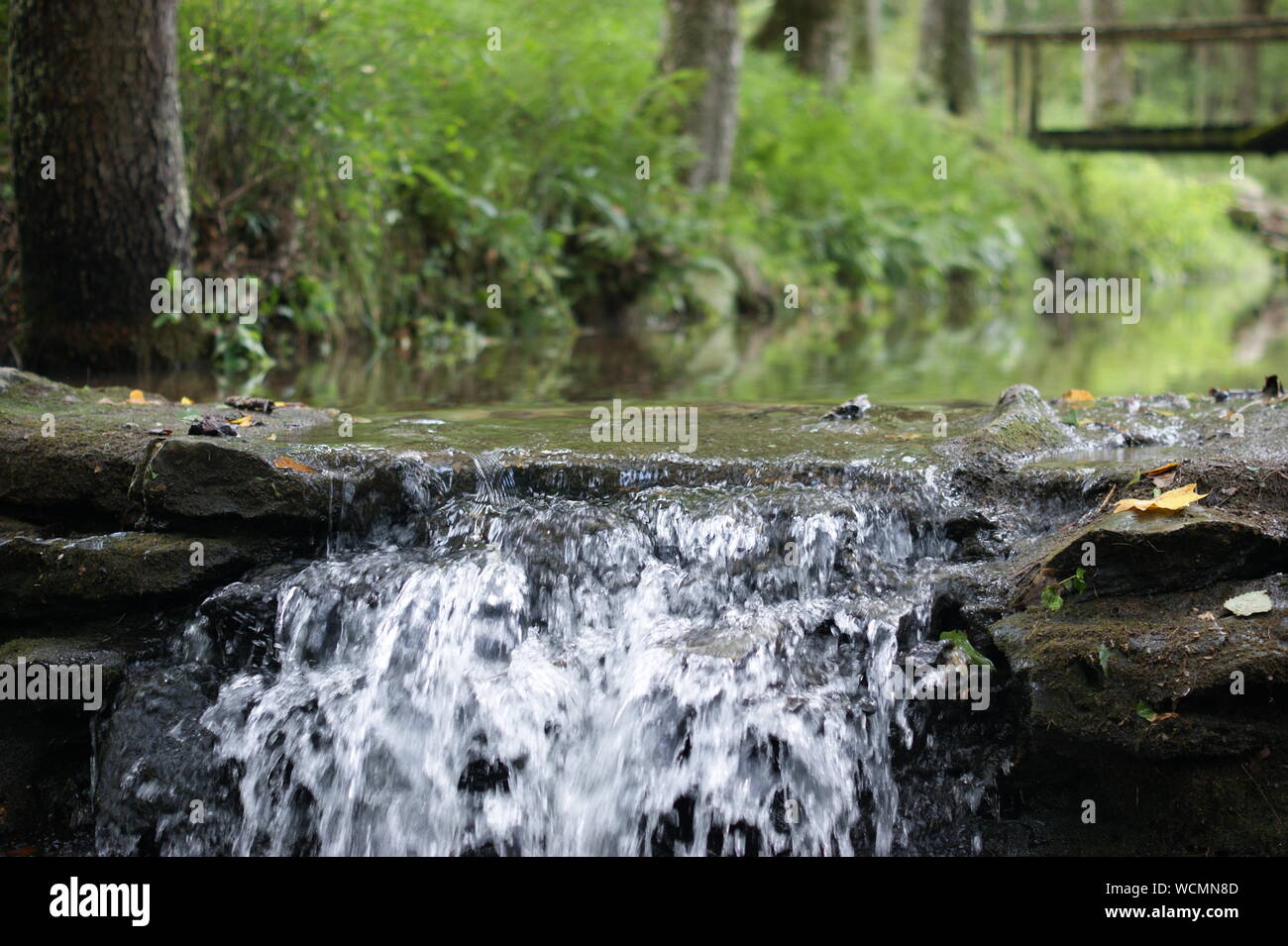 Cascading High Resolution Stock Photography and Images - Alamy