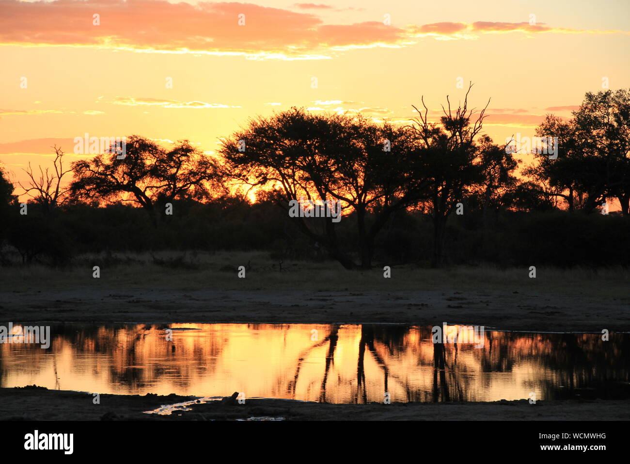 Zimbabwe wild landscape Stock Photo - Alamy