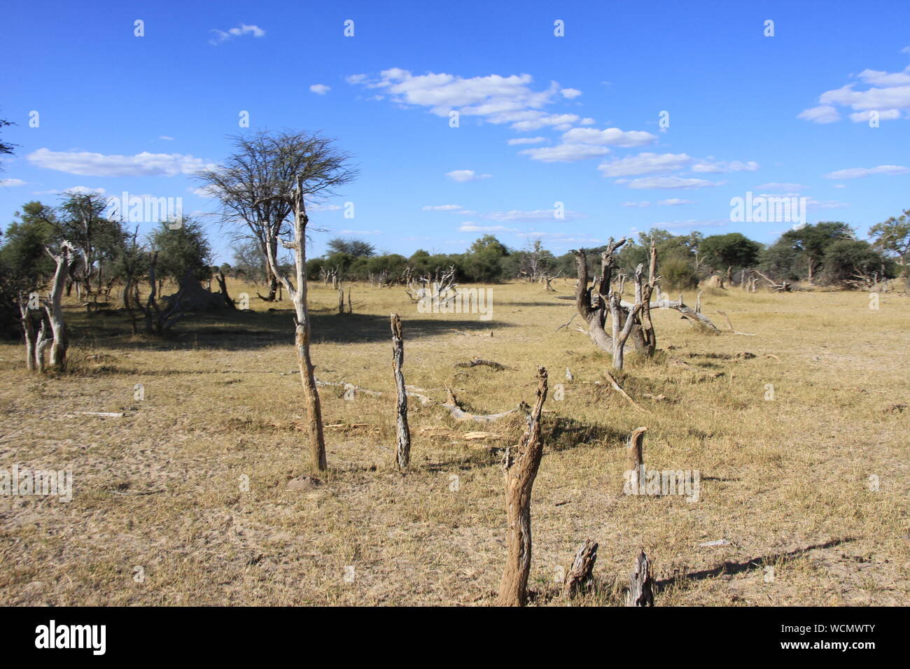 Zimbabwe wild landscape Stock Photo - Alamy