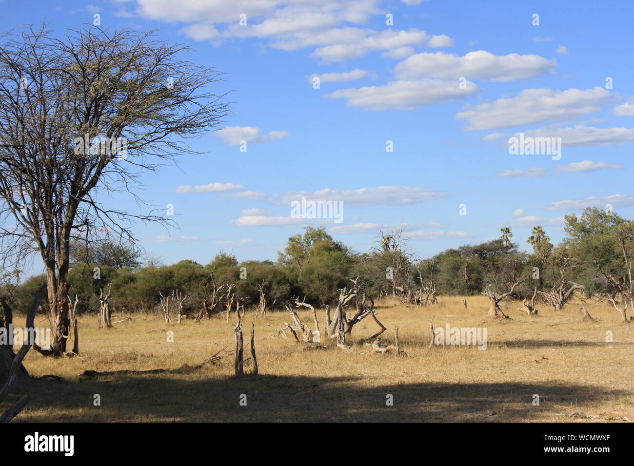 Zimbabwe wild landscape Stock Photo - Alamy