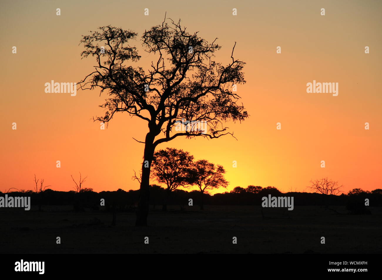 Zimbabwe wild landscape Stock Photo - Alamy