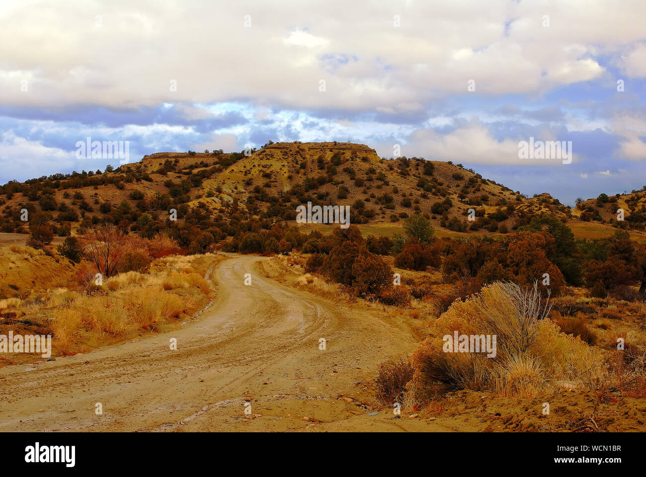 Semi arid terrain hi-res stock photography and images - Alamy