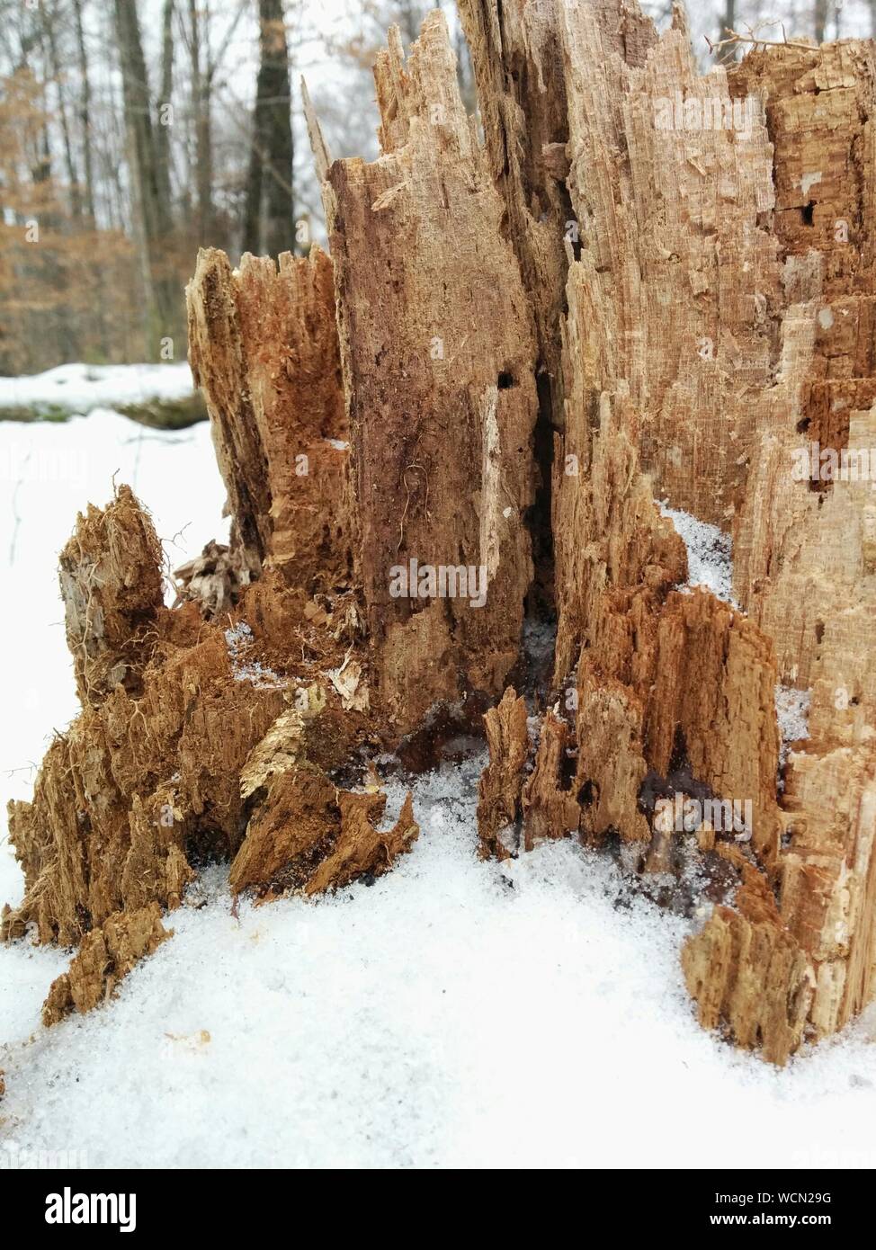 Wood dust does hi-res stock photography and images - Alamy