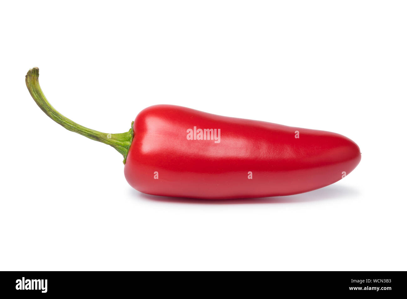 Single fresh red Jalapeno pepper isolated on white background Stock ...