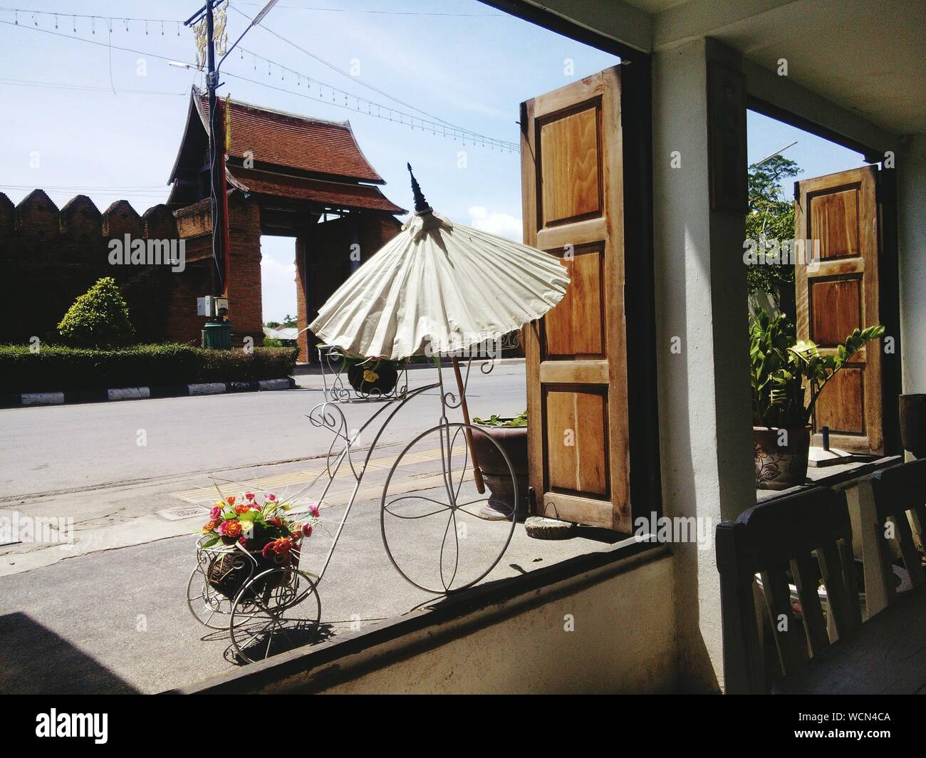 Bicycle vase hi-res stock photography and images - Alamy