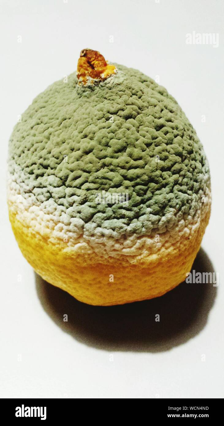 Half of lemon hi-res stock photography and images - Alamy