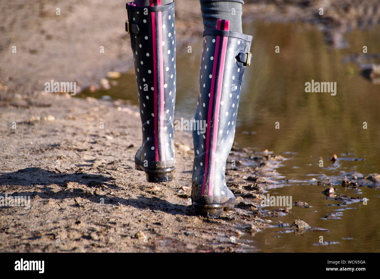 Puddle focus on shadow hi-res stock photography and images - Alamy