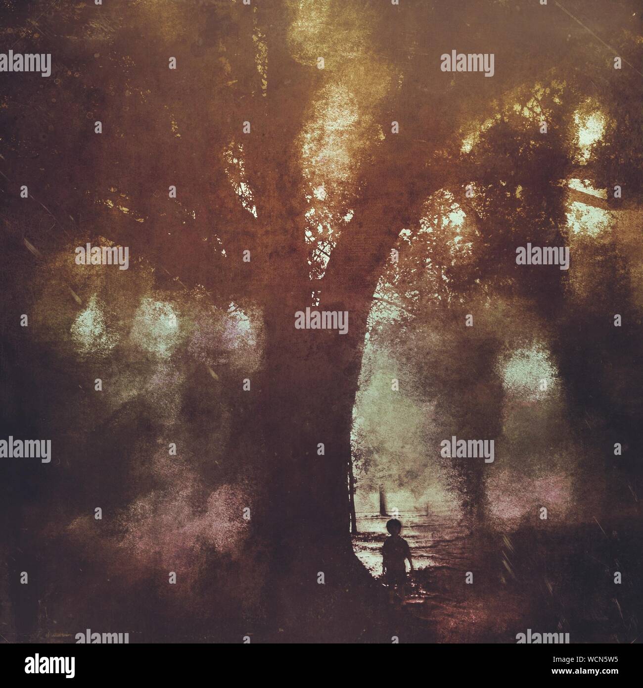 Child Standing By Tree Stock Photo - Alamy