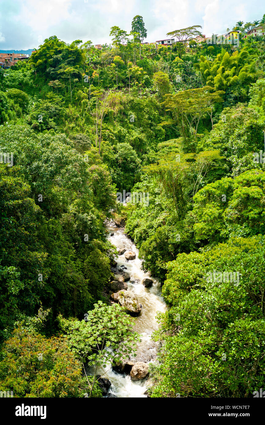 Colombia forest country road hi-res stock photography and images - Alamy